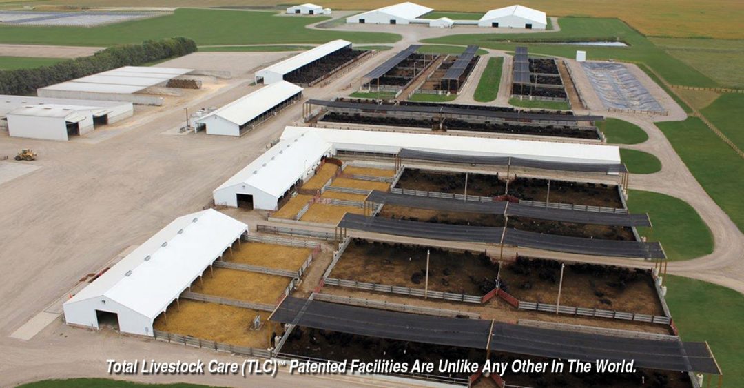 RCC Facilities ⋆ Revier Cattle Company