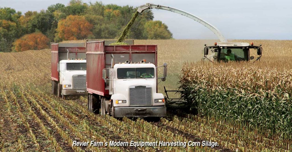 RCC Feed ⋆ Revier Cattle Company