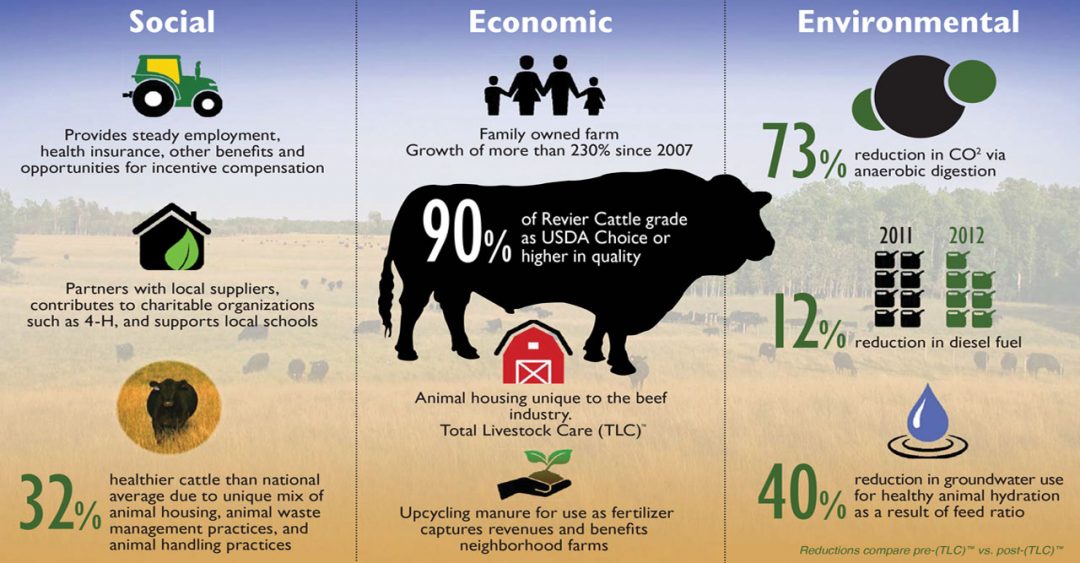 Sustainable Beef ⋆ Revier Cattle Company