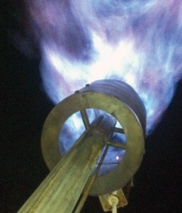 Sustainable Beef ⋆ Revier Cattle Company