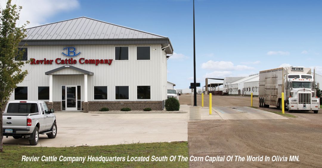 Revier Cattle Headquarters ⋆ Revier Cattle Company