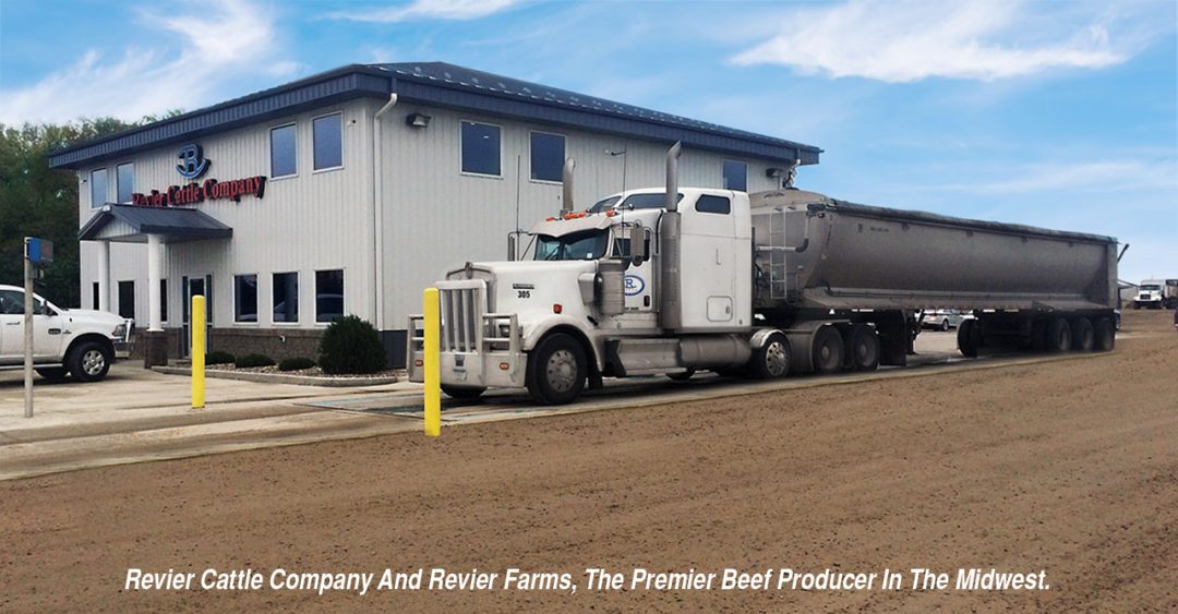 RCC Careers ⋆ Revier Cattle Company