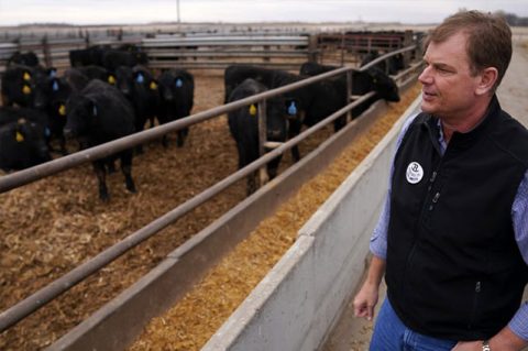 Revier Cattle Company featured in Star Tribune's article on weathering ...